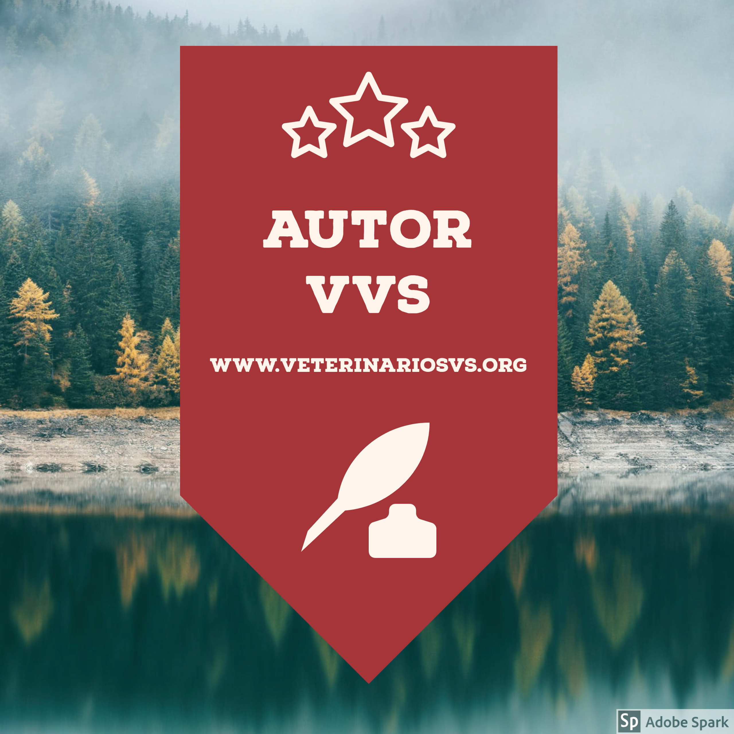 vvs autor badge – Web VVS